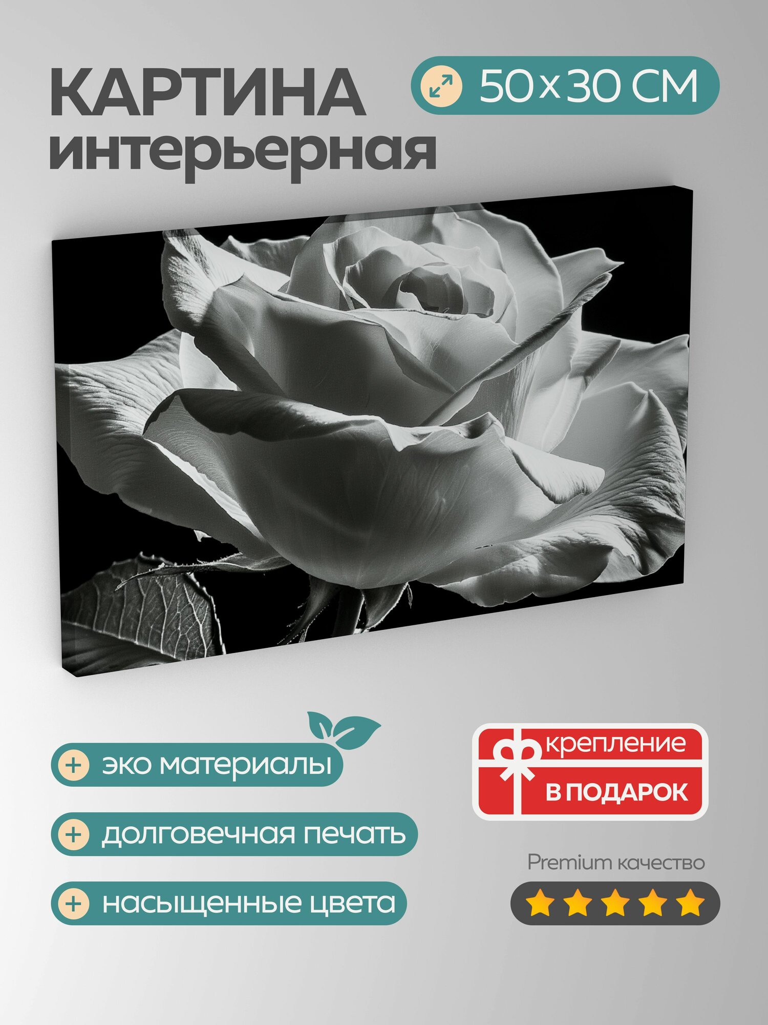 Картина на холсте интерьерная 50х30 см, черно-белая фотография, белая роза, нежные лепестки, мягкий рассеянный свет
