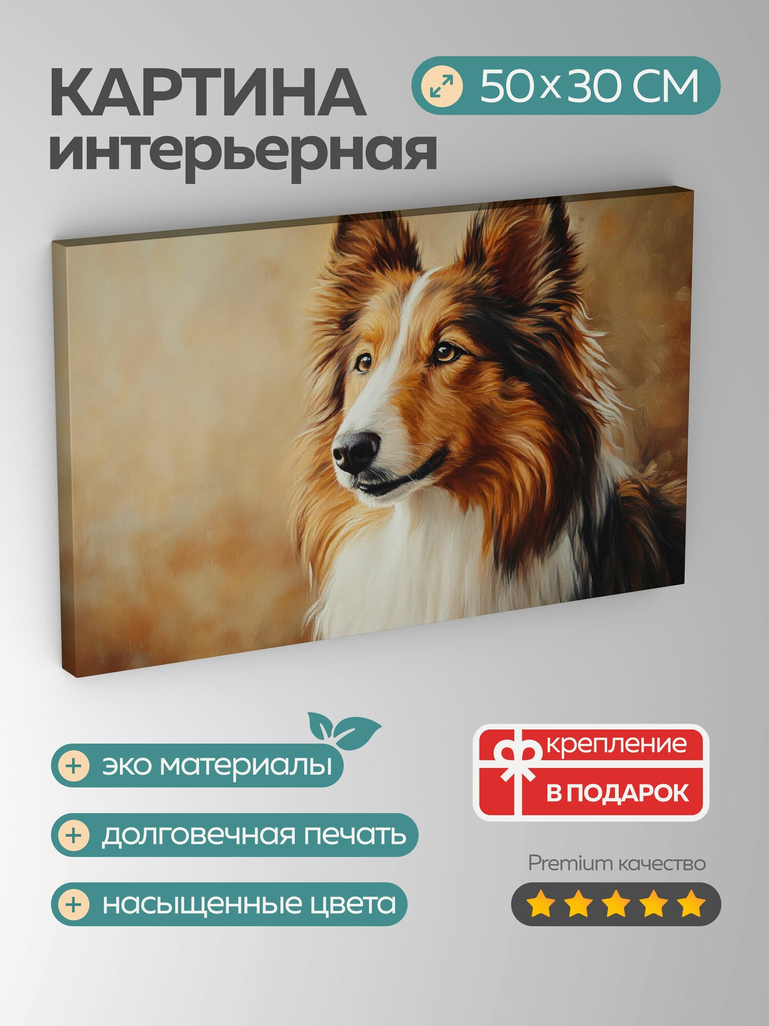 Картина на холсте интерьерная 50х30 см, Колли, собака, масляная картина, выразительные глаза, пушистая шерсть