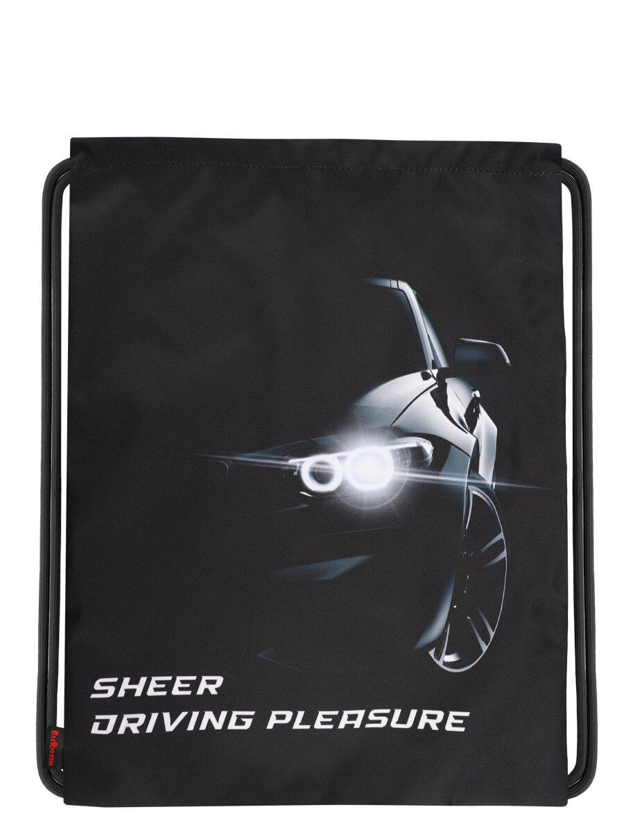 Мешок BagRio, Черный, Единый школа