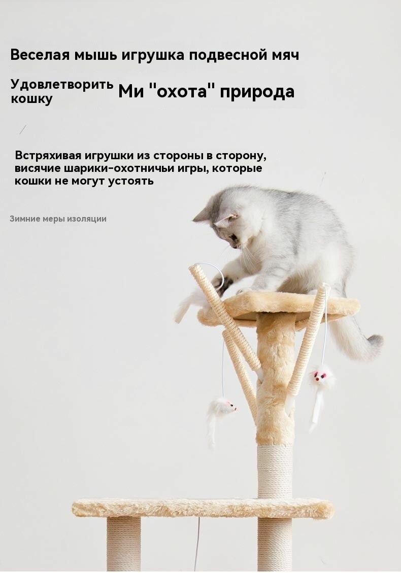 Когтеточка — фото 1