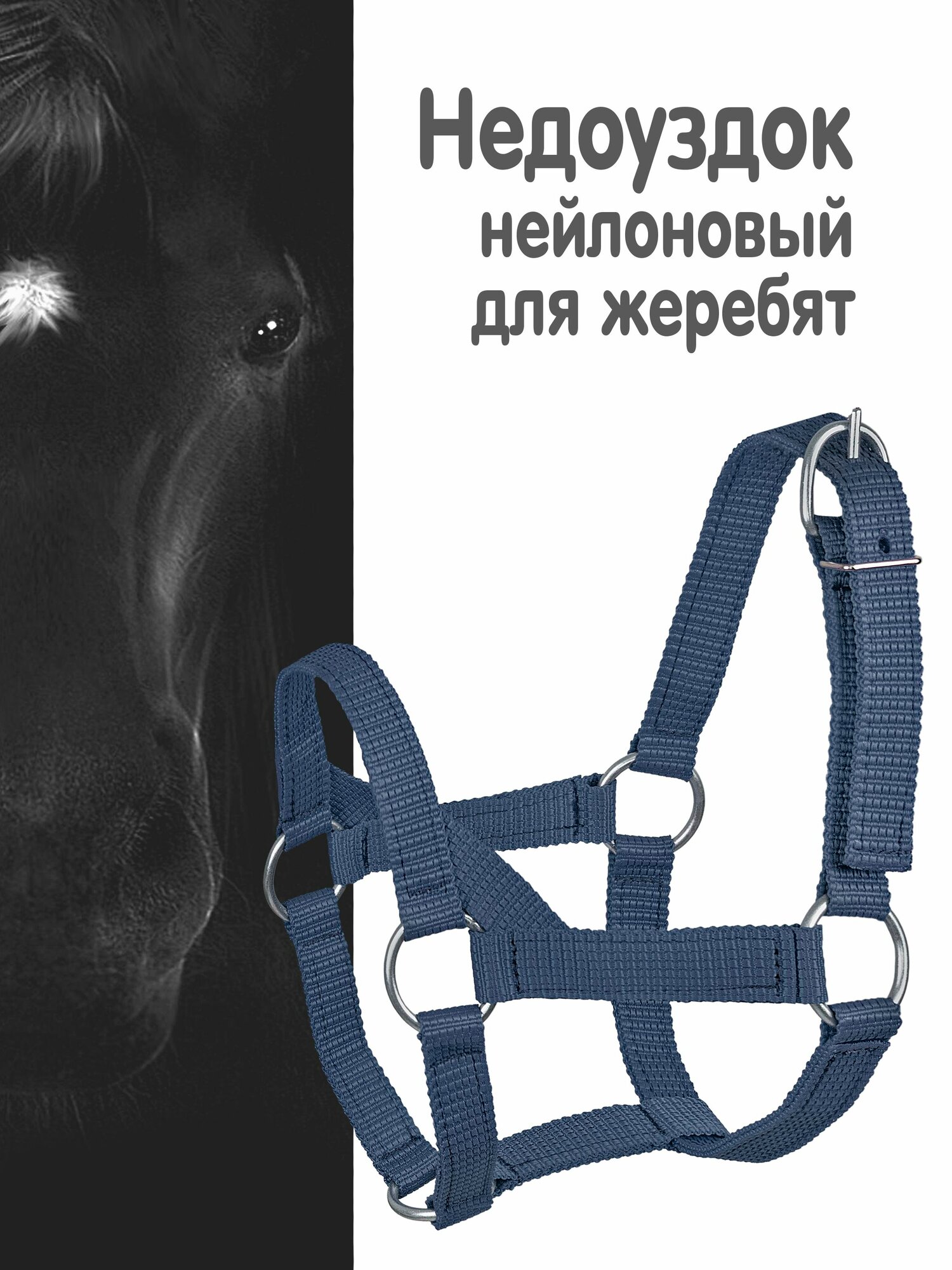 Недоуздок REITER, для жеребят, двойной нейлон, 25 мм, синий, 1 шт