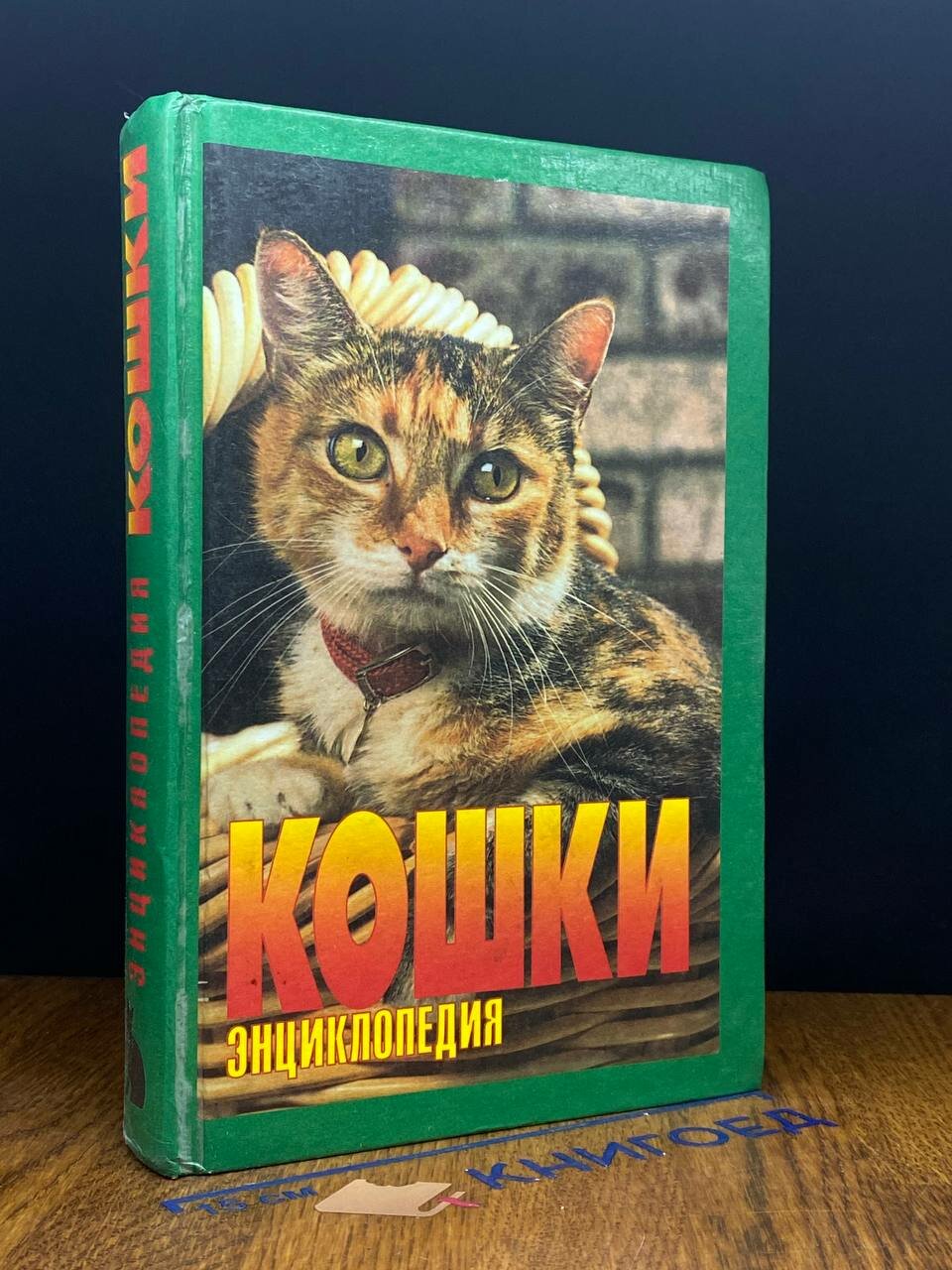 Книга. Кошки. Энциклопедия 1999 (2043842966088)
