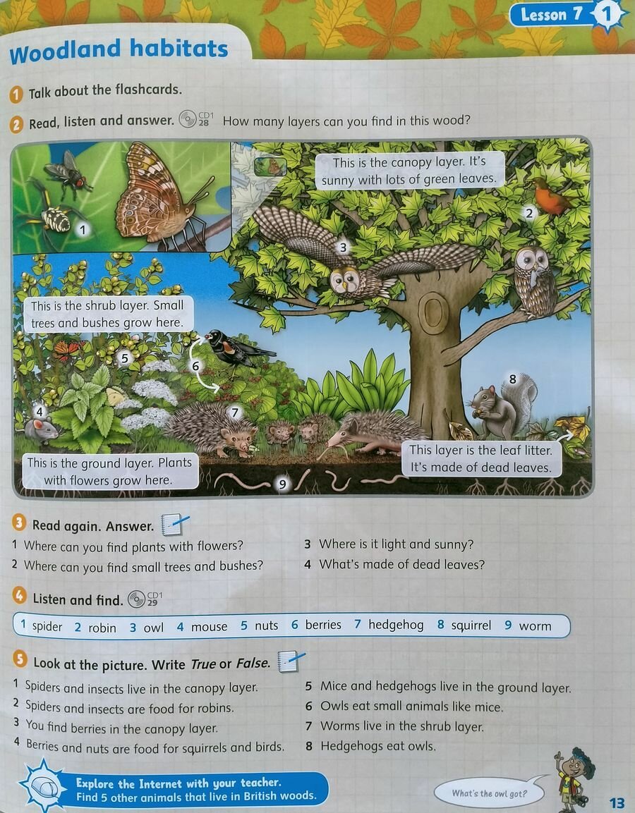 World Explorers 1 Class Book Учебник — фото 1