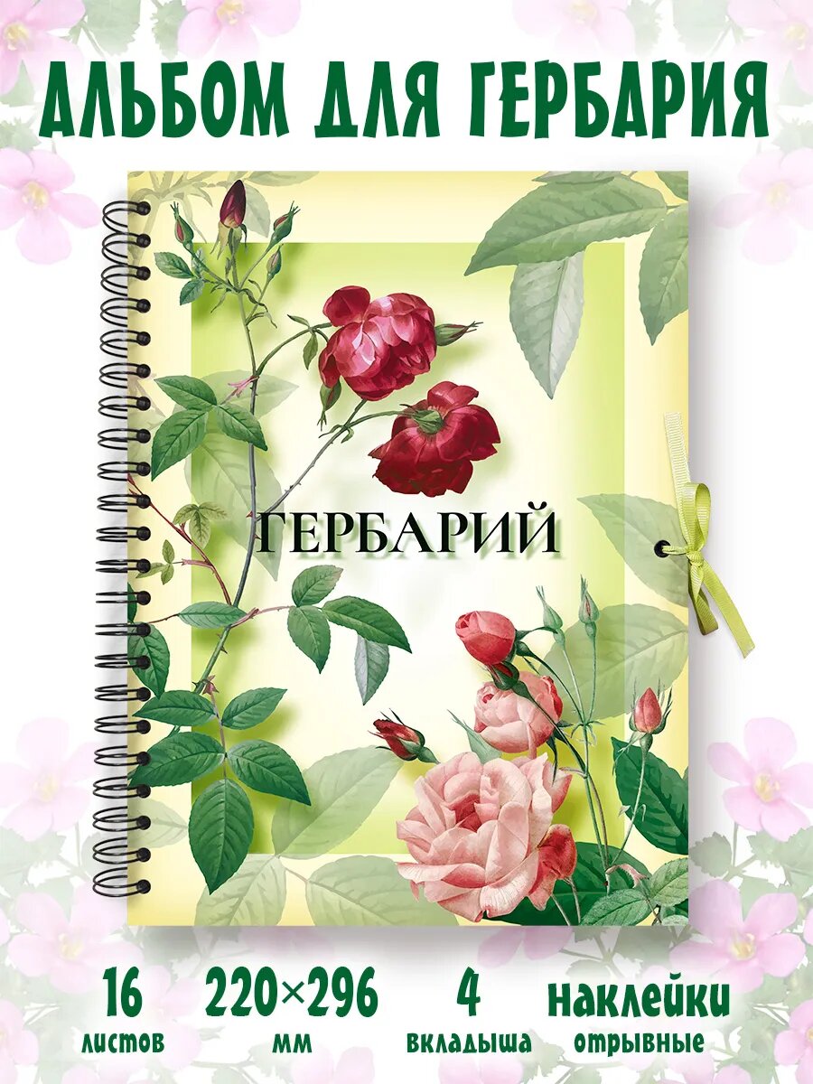 Альбом для гербария и коллекционирования "Цветы"на пружине, размер 23х29,5 см