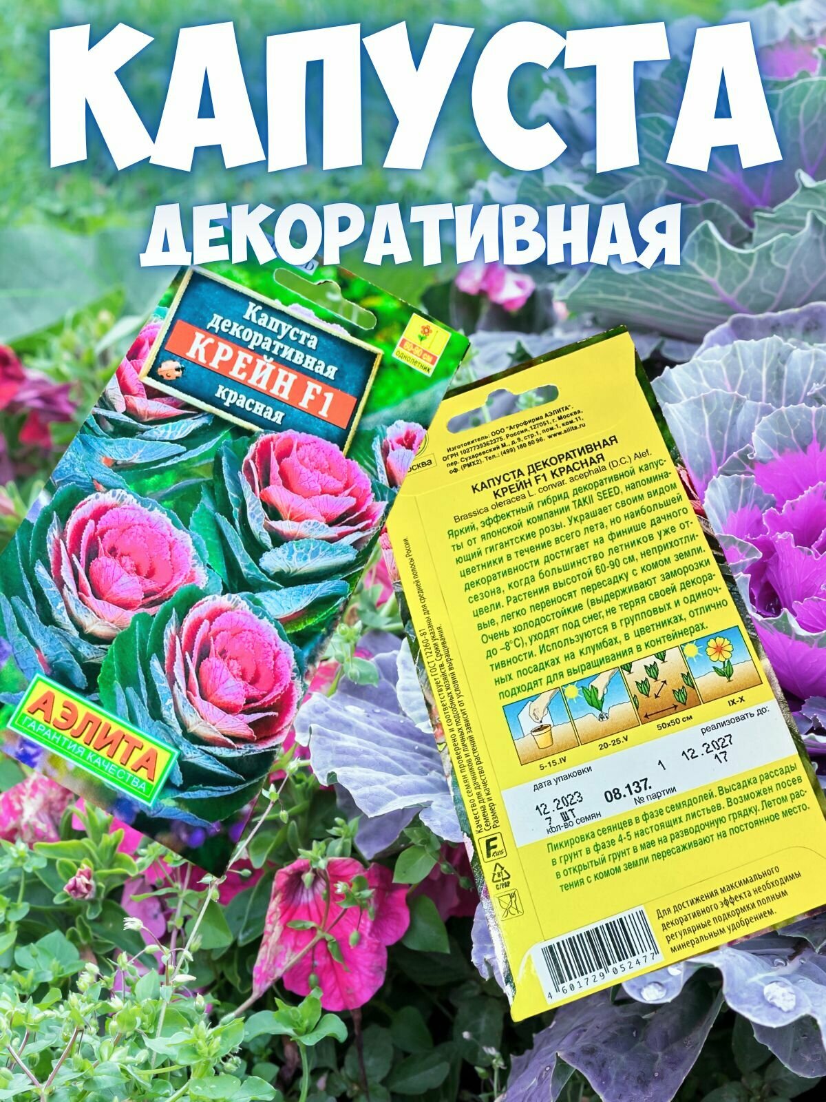 Декоративная капуста Крейн красная F1 7семян