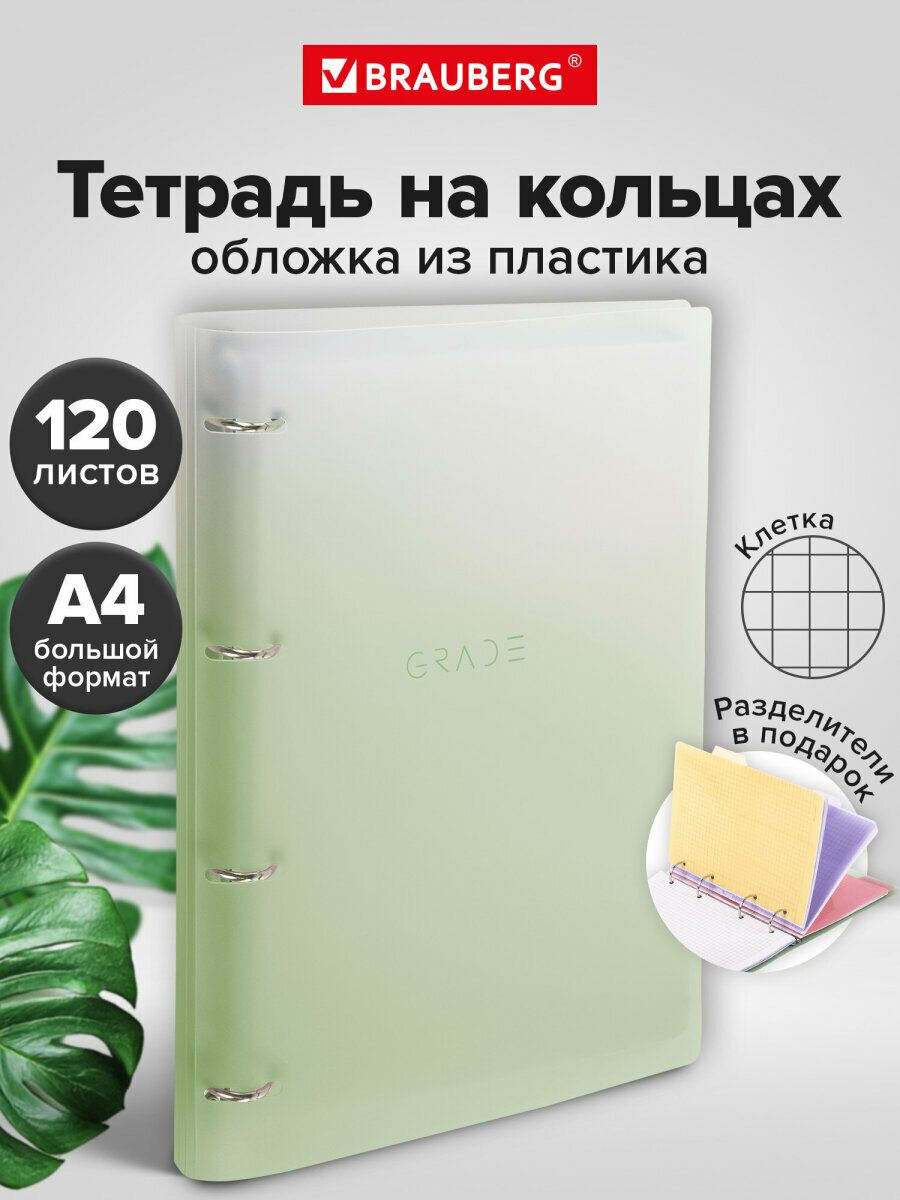 Тетрадь на кольцах со сменным блоком А4 305х235 мм, 120 листов с разделителями, Brauberg, Зеленый, 404625