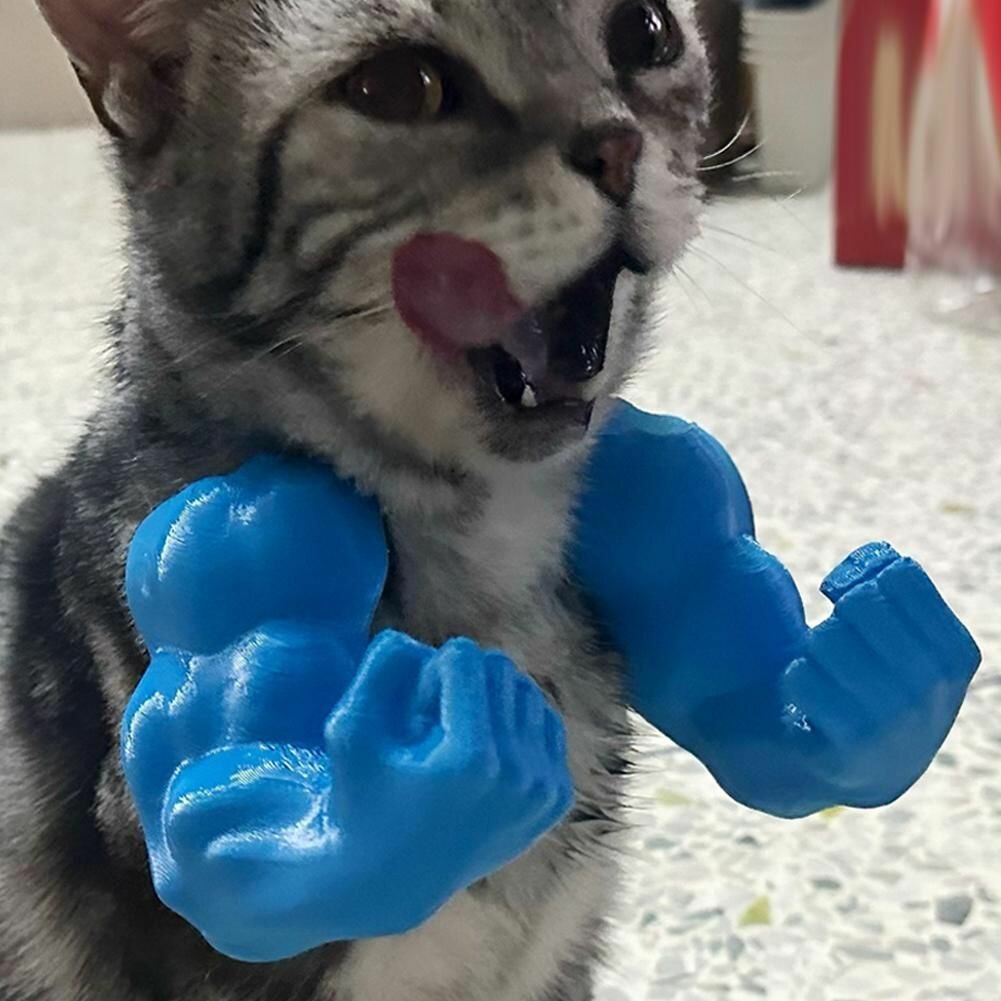 Кошка с Мускулистыми руками