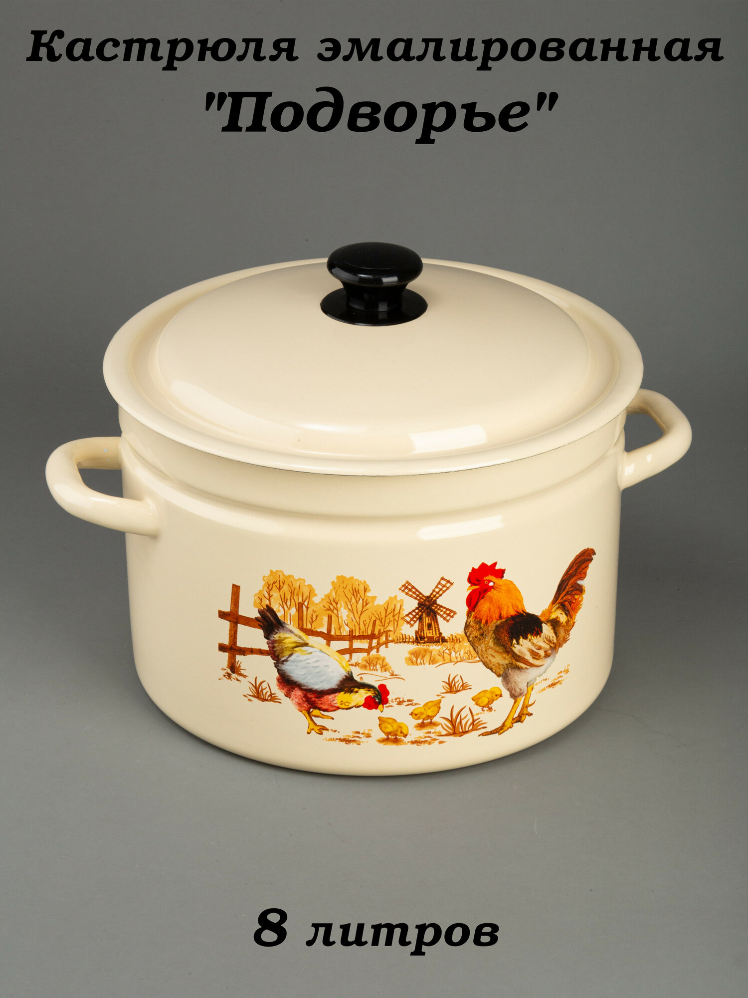 Кастрюля эмалированная 8 л с рисунком