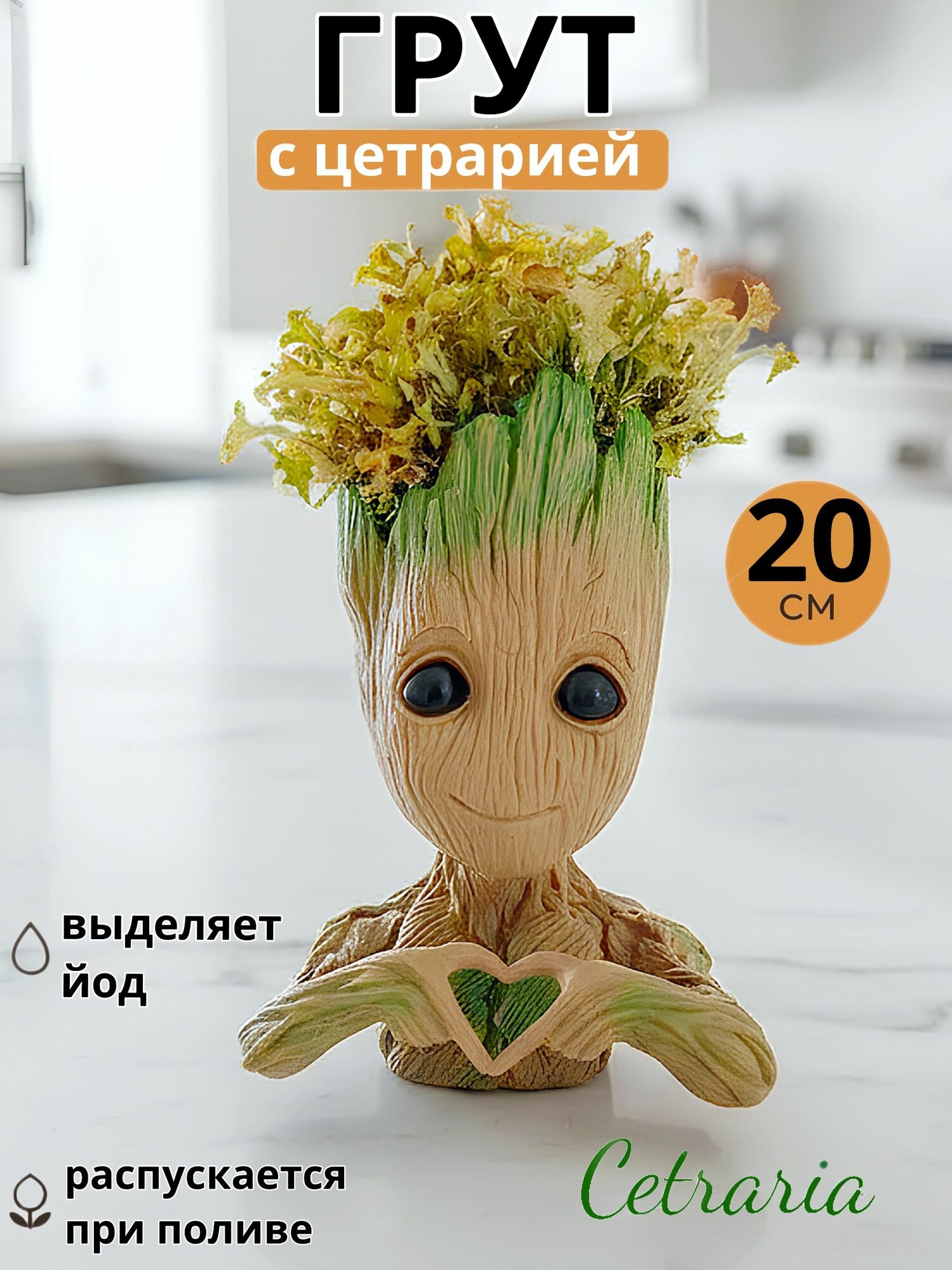 Настольное украшение Грут с коричневой цетрарией, 20см