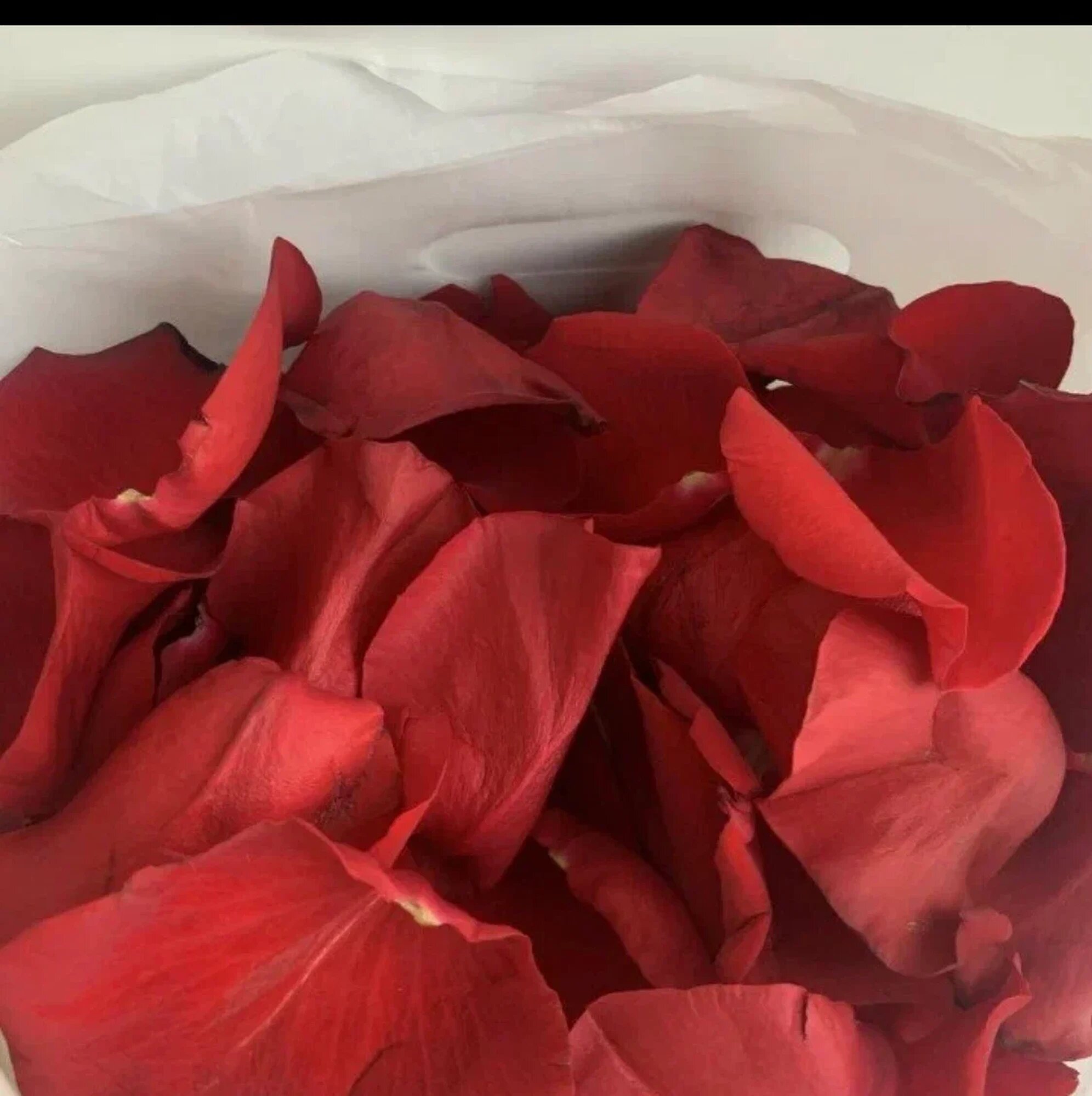 Лепестки роз ShokoFlowers, 10 лепестков, для декора, аромат, высокое качество