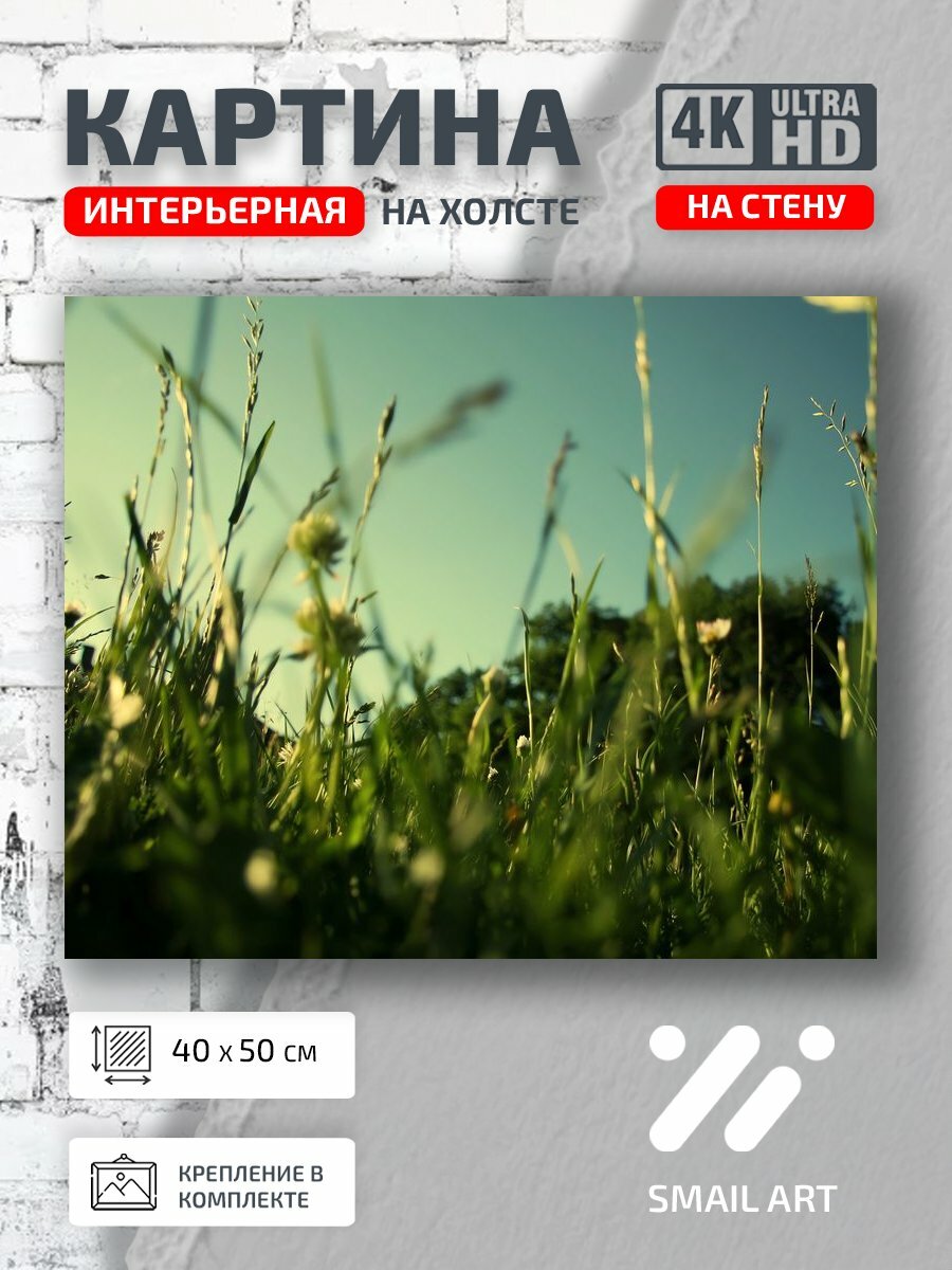 Картина на холсте интерьерная 40 на 50 на стену Трава Landscape для кабинета пейзаж декор