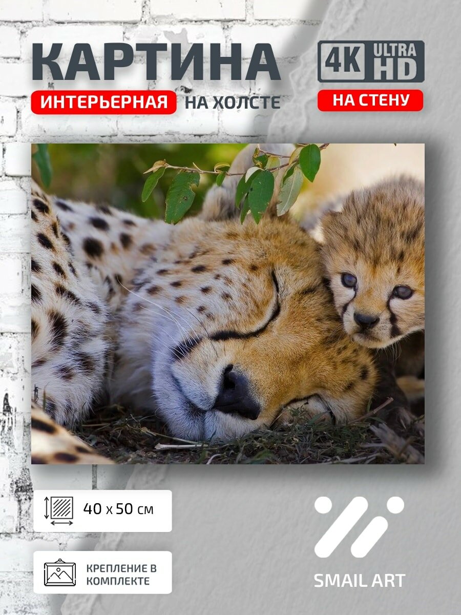 Картина на холсте интерьерная 40 на 50 на стену Животные Гепард для спальни атмосфера