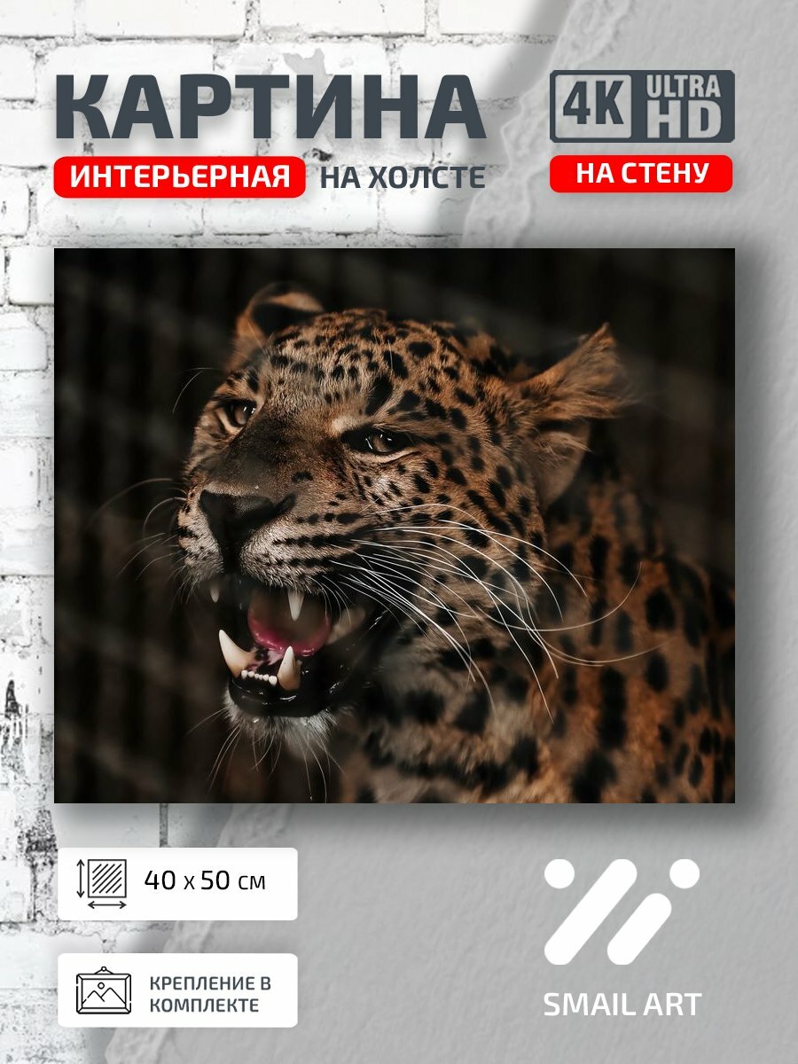 Картина на холсте интерьерная 40 на 50 на стену Усы Mood для офиса атмосфера интерьер декор