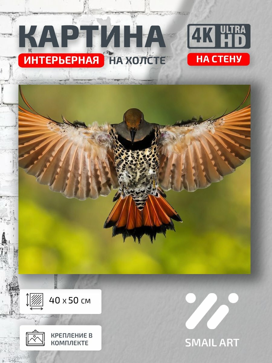 Картина на холсте интерьерная 40 на 50 на стену Птицы birds для кабинета пейзаж интерьер