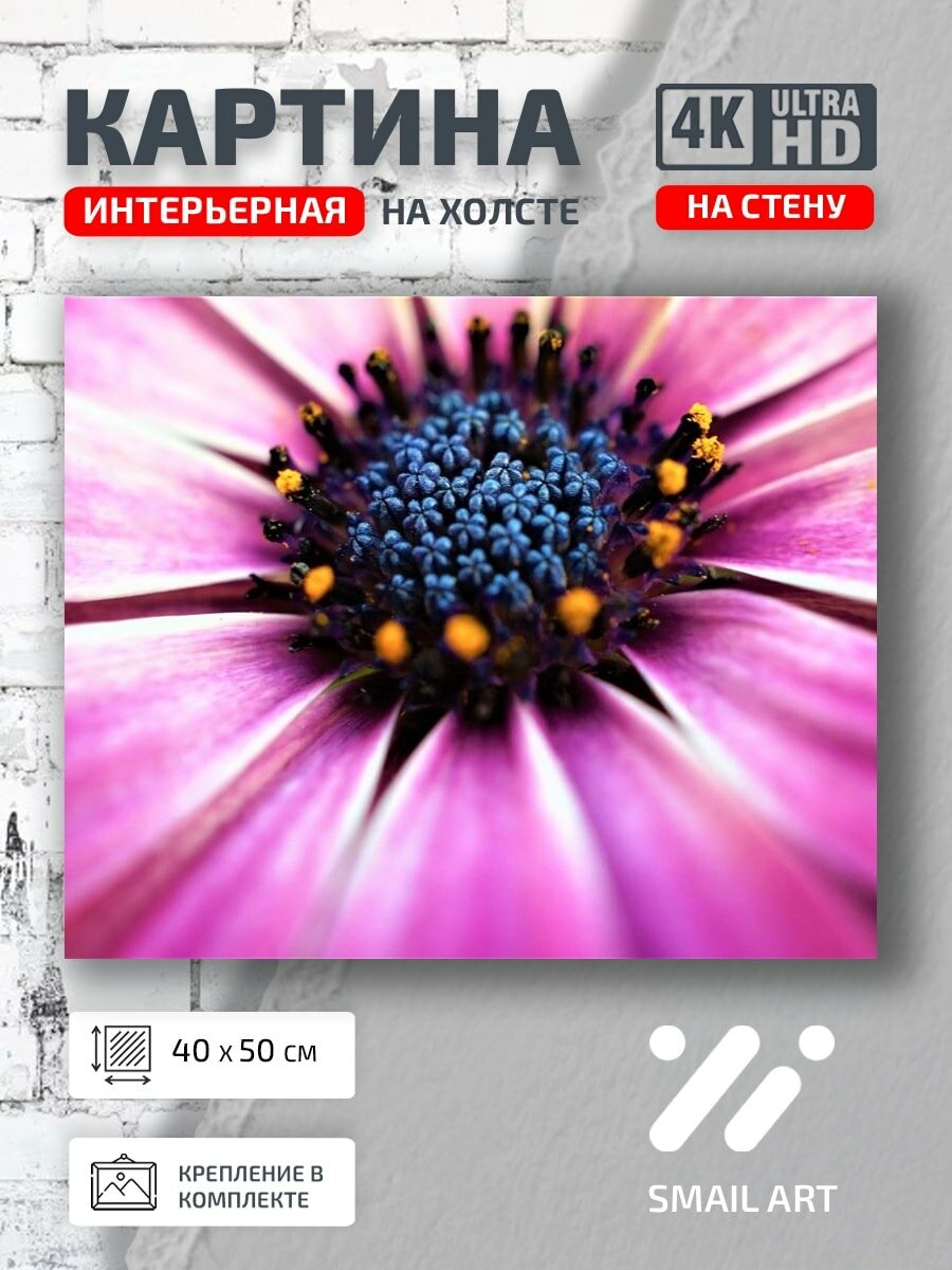 Картина на холсте интерьерная 40 на 50 на стену крупным планом для спальни атмосфера
