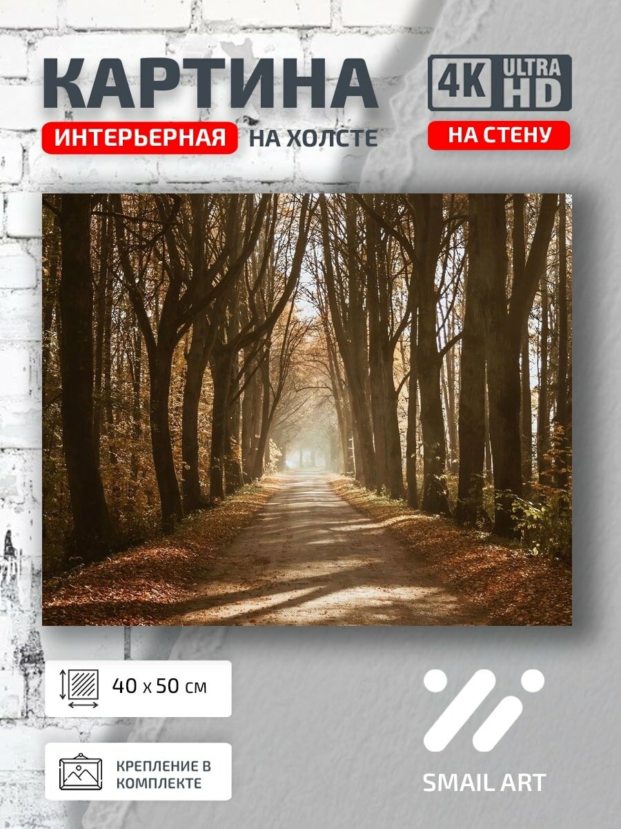 Картина на холсте интерьерная 40 на 50 на стену Природа Лес для кафе пейзаж