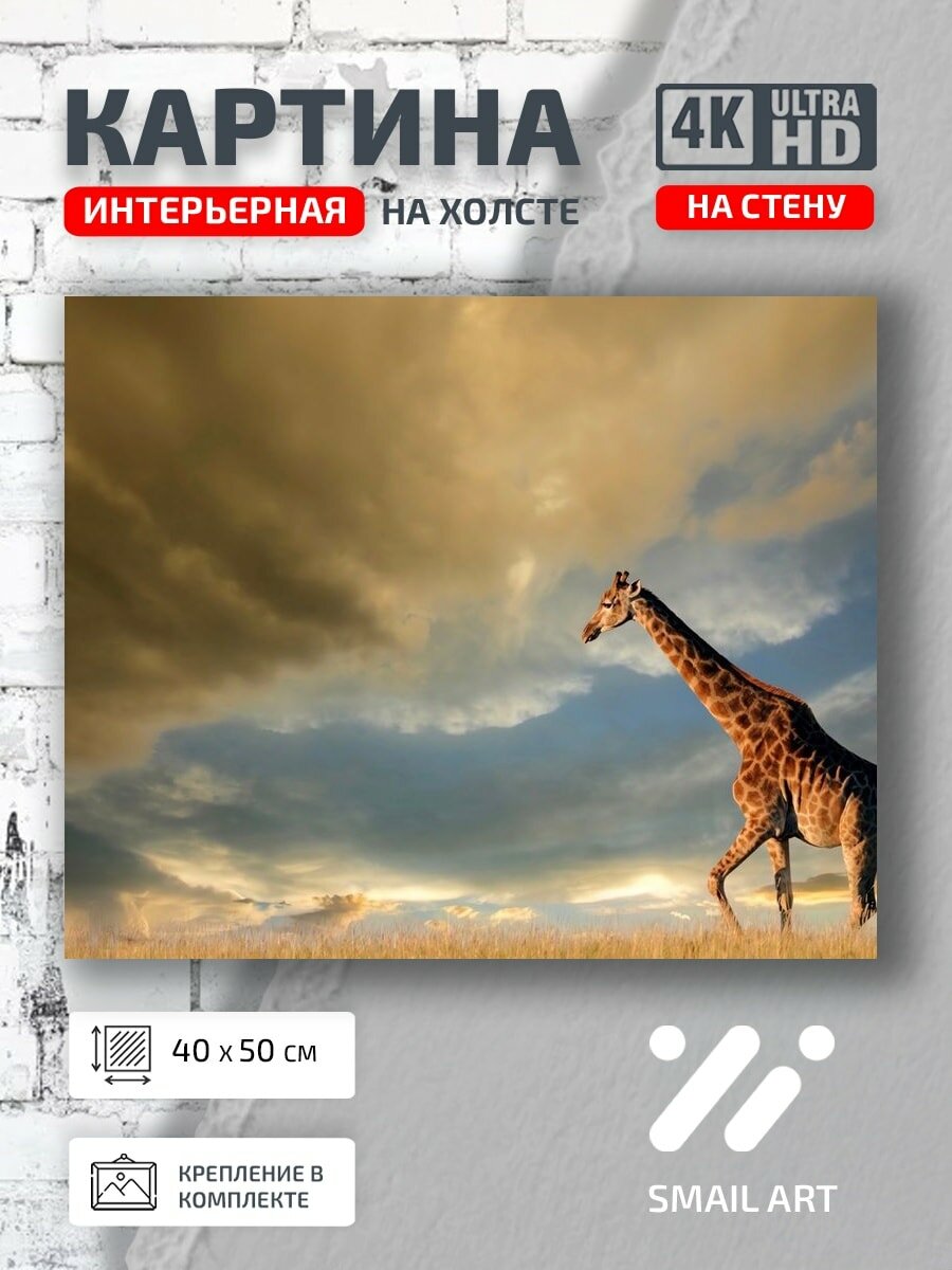 Картина на холсте интерьерная 40 на 50 на стену Животные жираф для офиса атмосфера
