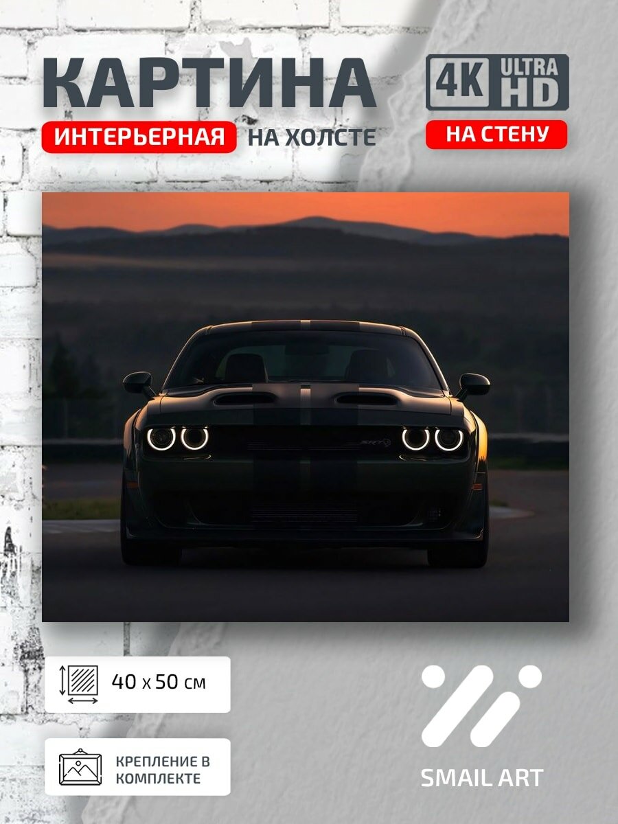 Картина на холсте интерьерная 40 на 50 на стену Hellcat 2019 для спальни animal style