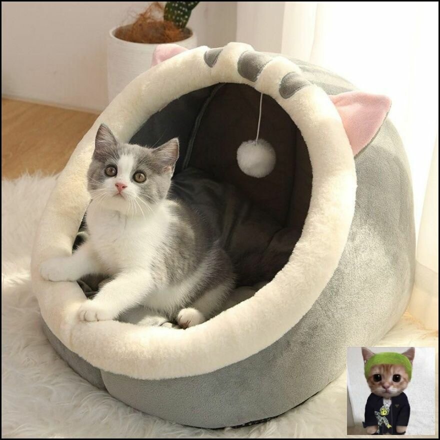 Корзина для домашних животных, комфортабельный котенок, котенок, кот.