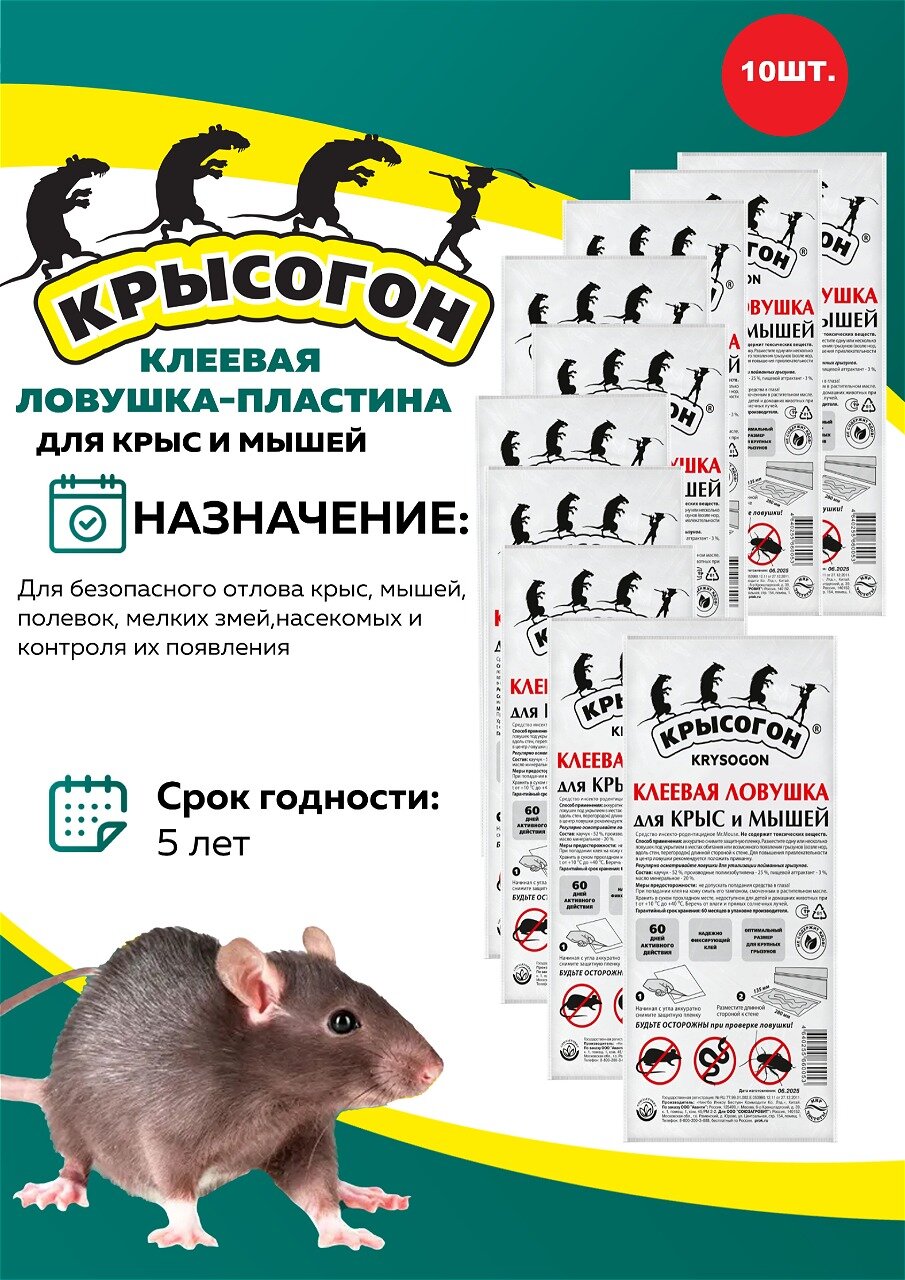 Комплект Крысогон Клеевая ловушка-пластина для мышей и крыс, 10 шт