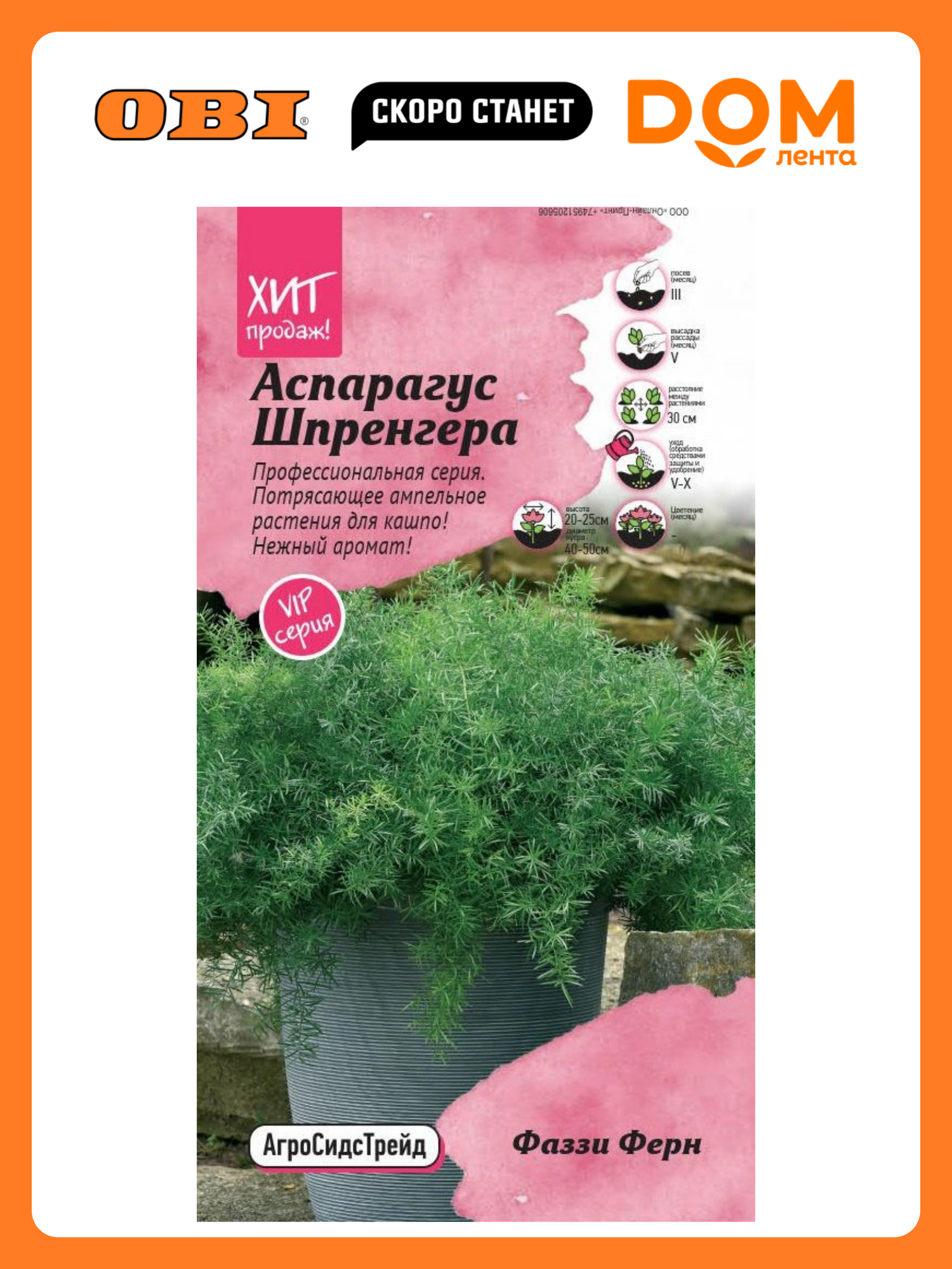 Семена Аспарагуса Шпренгера АгроСидсТрейд "Fuzzy Fern", многолетние, 2.65 г