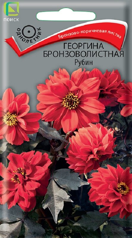 Семена цветов георгина бронзоволистная Рубин 10 шт, для дачи, сада, огорода и на рассаду