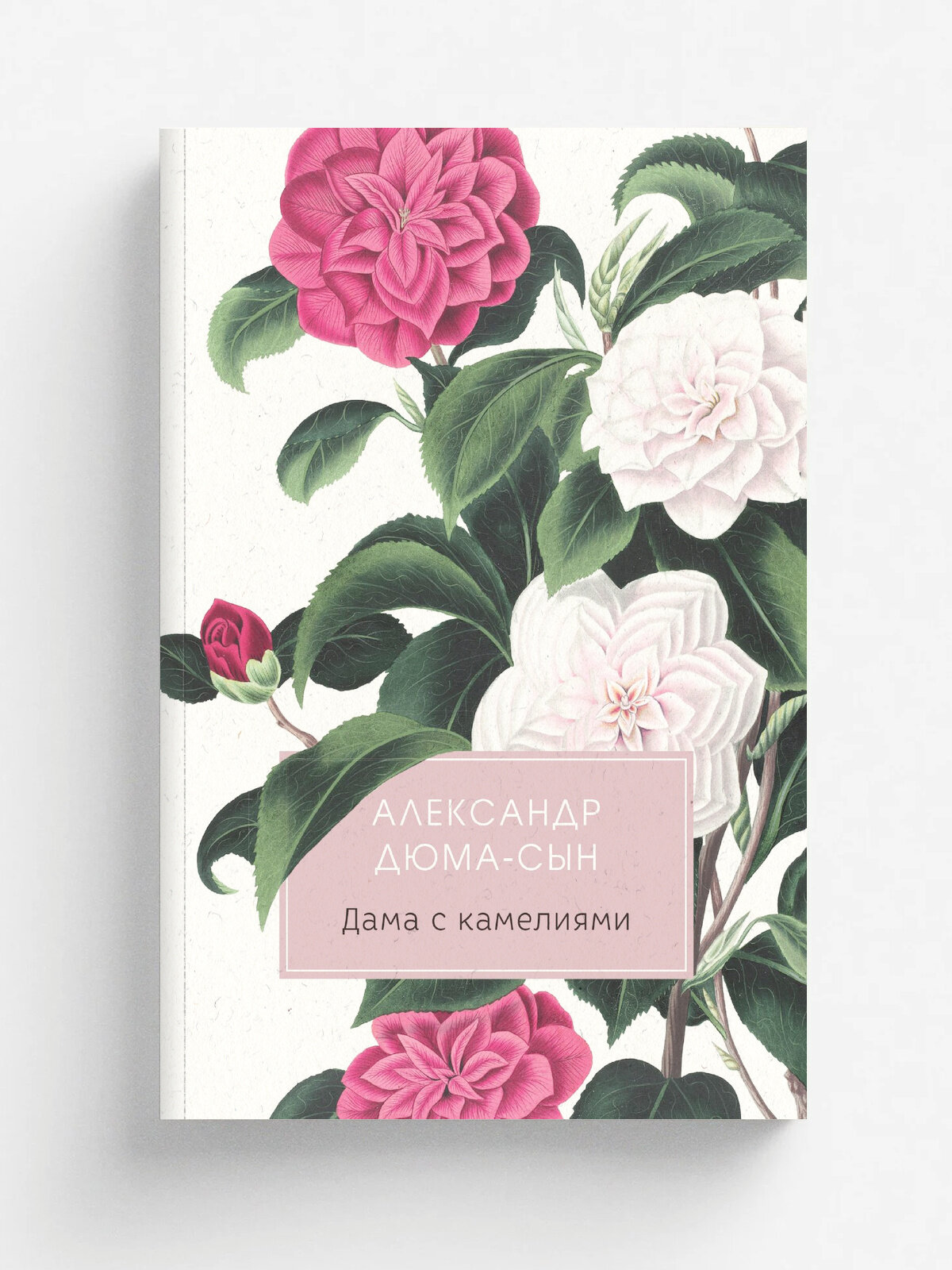 Дама с камелиями