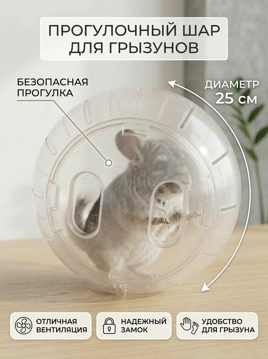 Прогулочный шар для грызунов, шиншилл, морских свинок, крыс, мышей, хомяков, 25 см, прозрачный