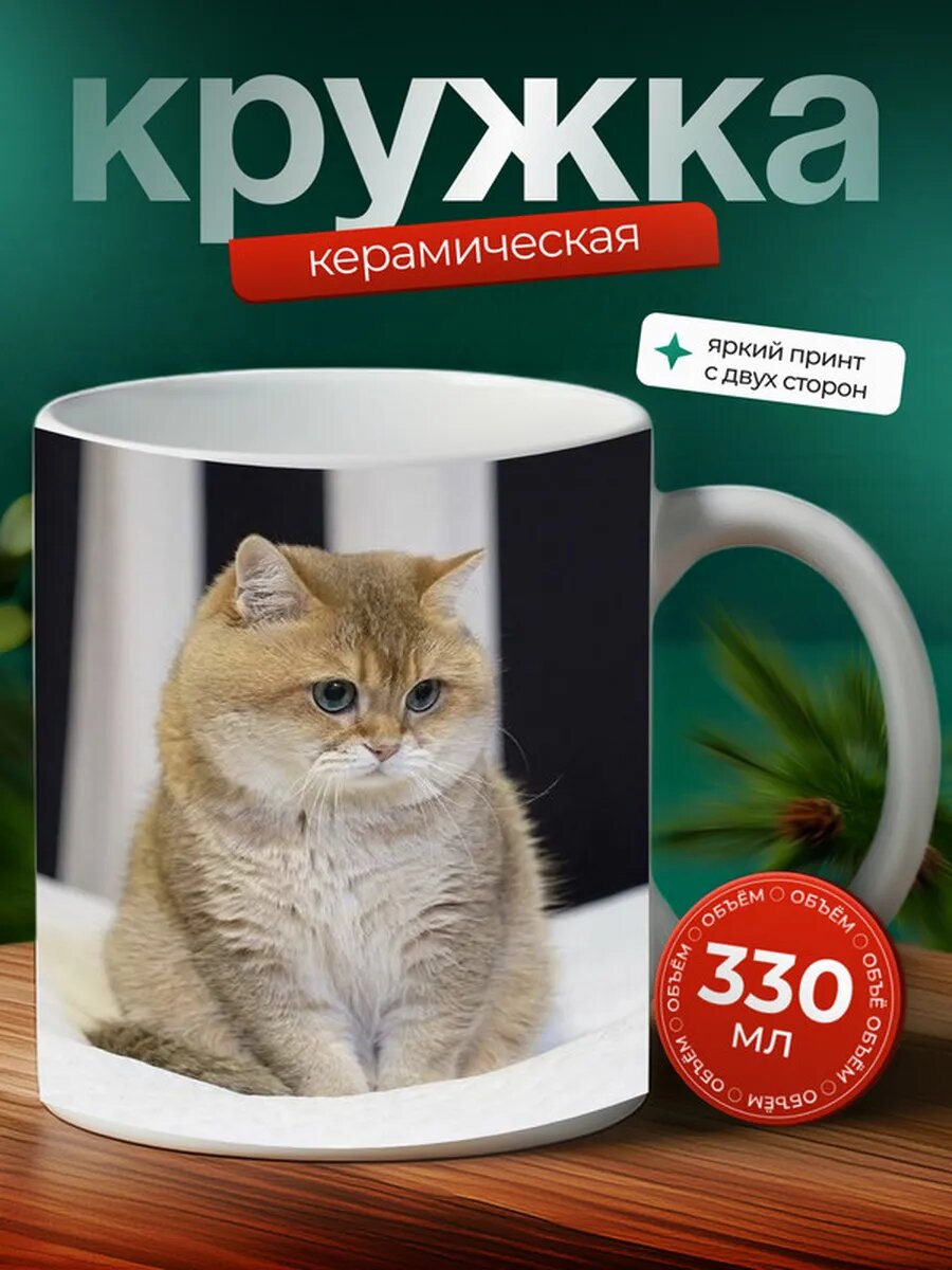 Кружка Индийский шёлковый кот 20,