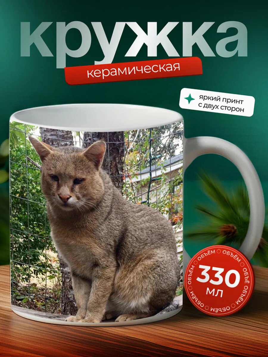 Кружка Индонезийский облачный кот 18,