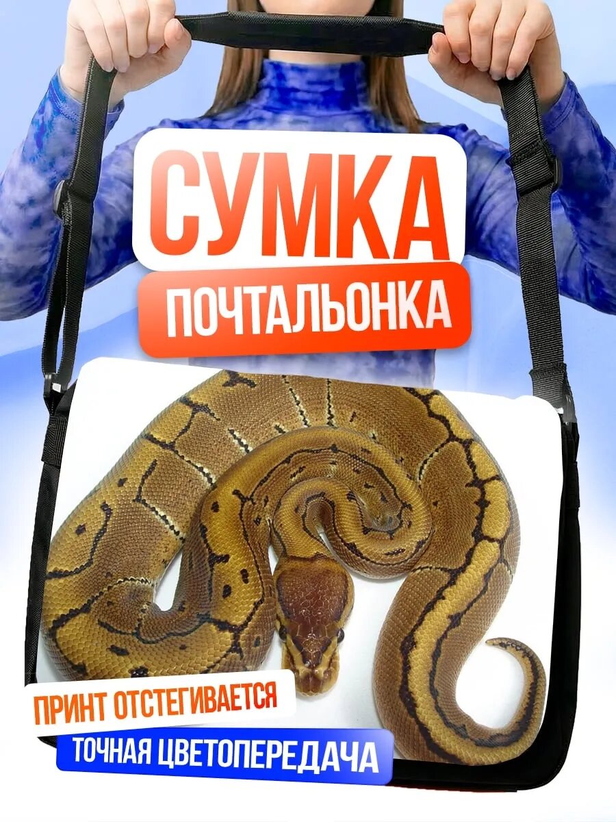 Сумка
