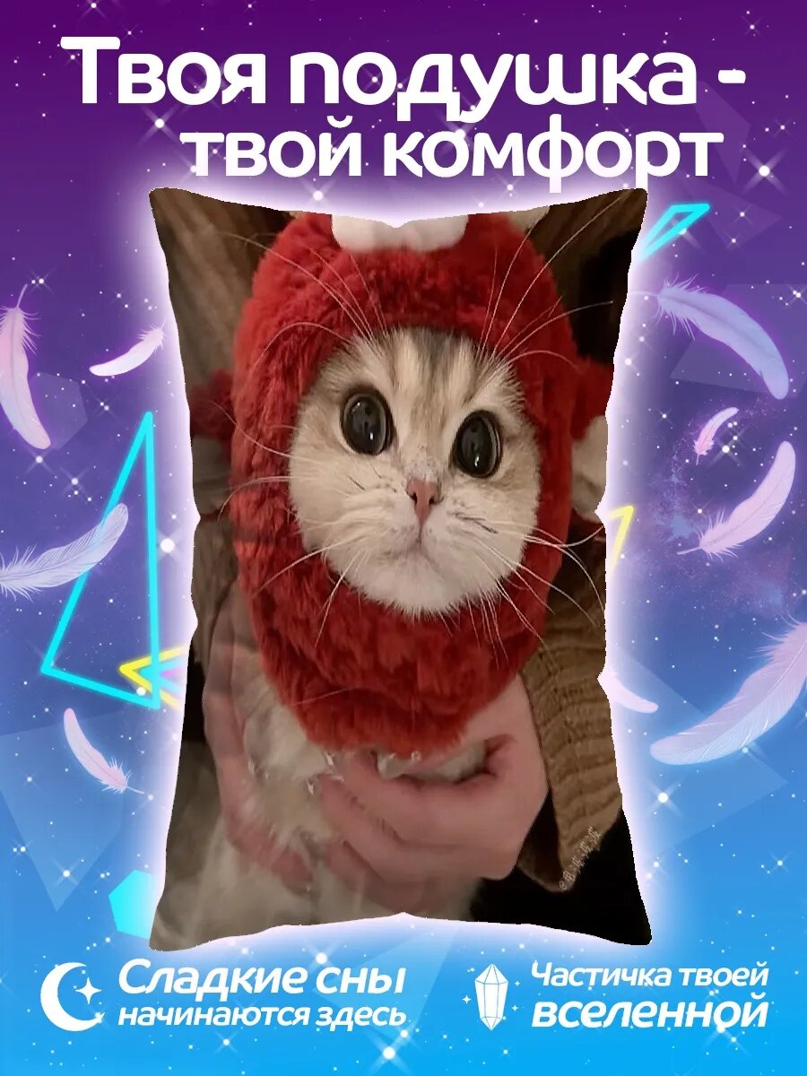 Подушка дакимакура Кот в шапке