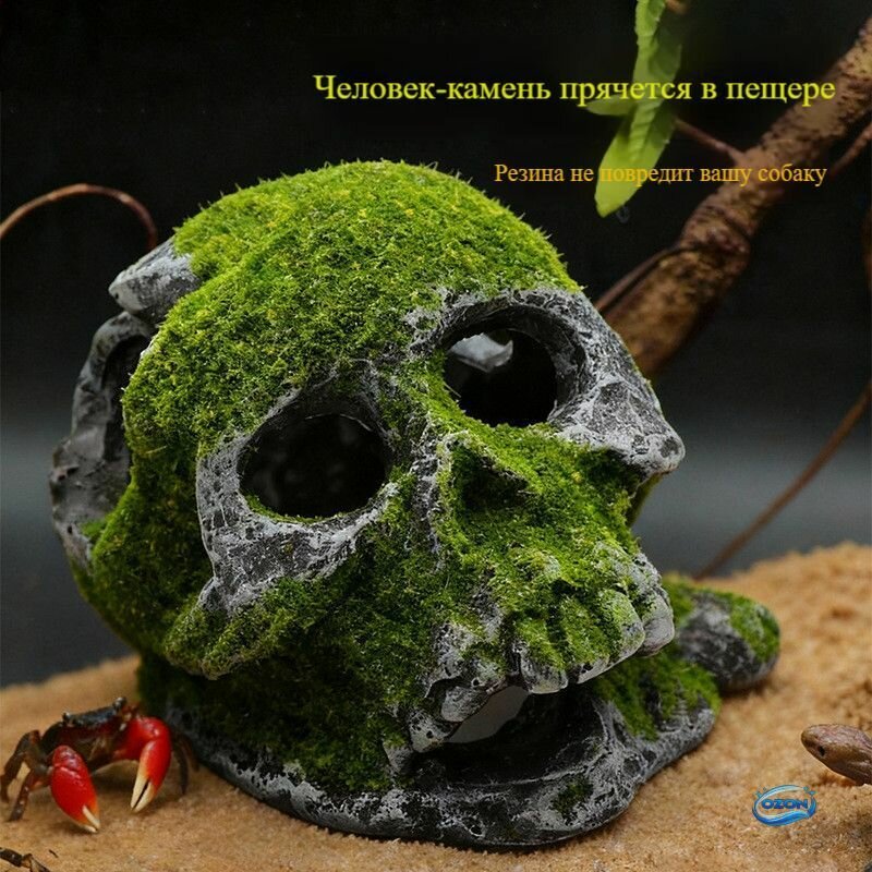 Влажная камера для рептилий 11.5x12x9.5 см