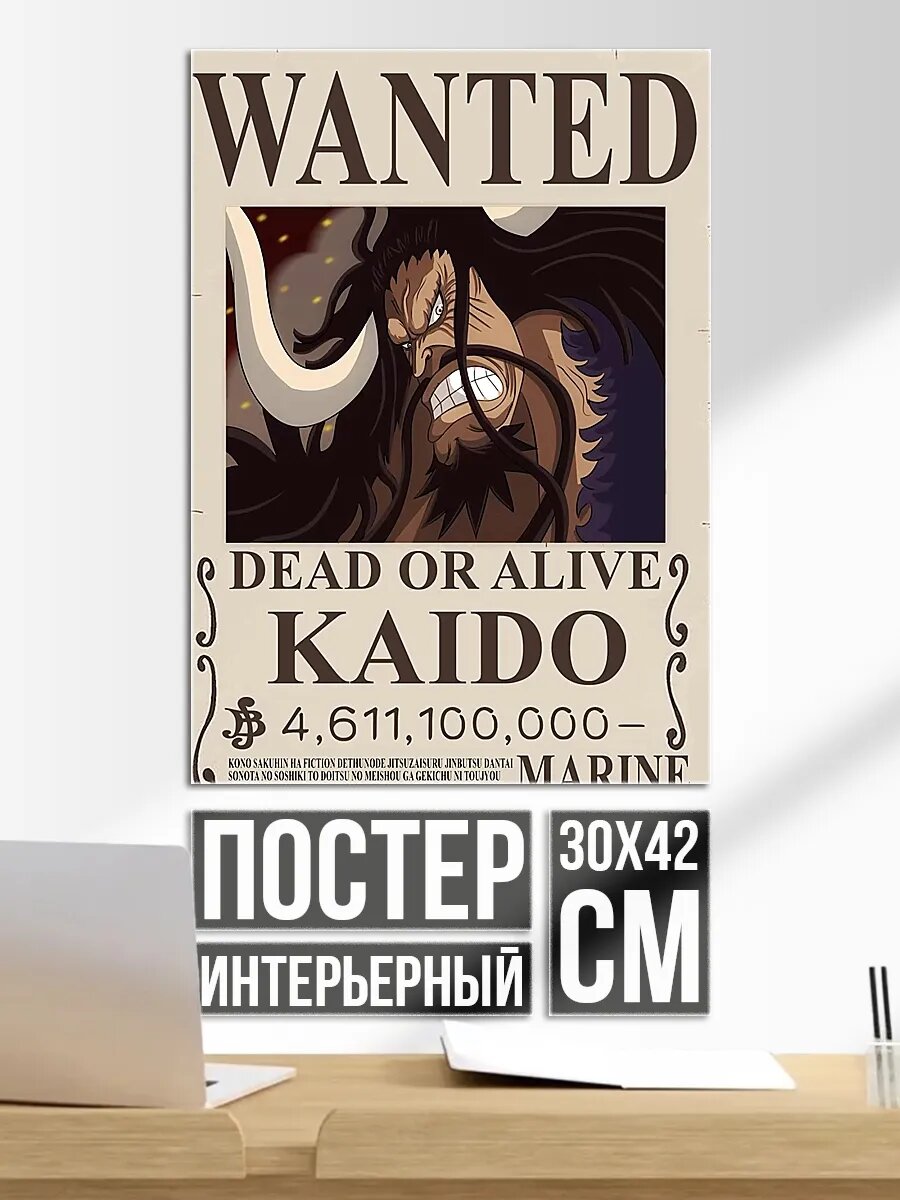 Плакат постер Кайдо морской дозор