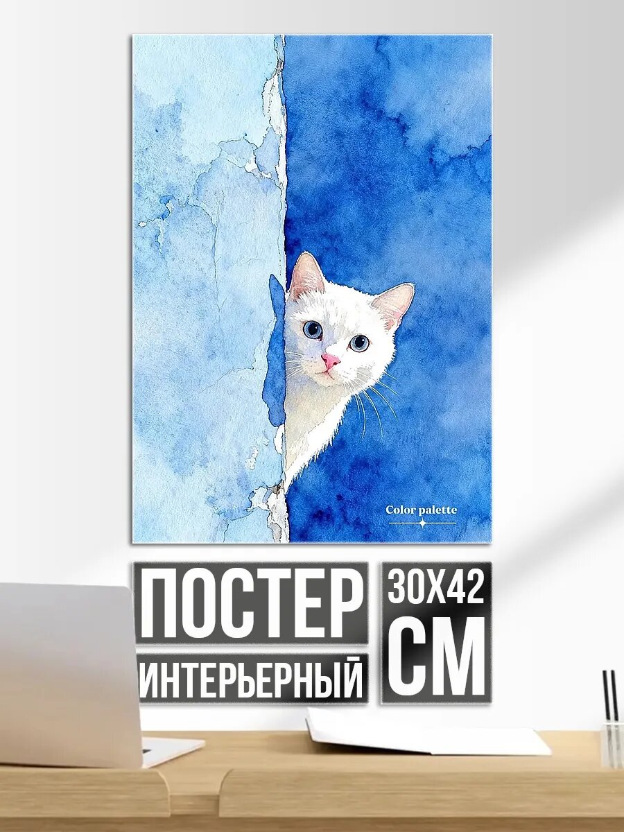 Плакат постер Белый кот в синем