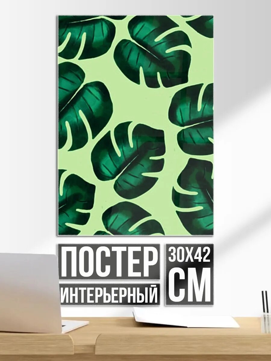 Постер на стену Monstera