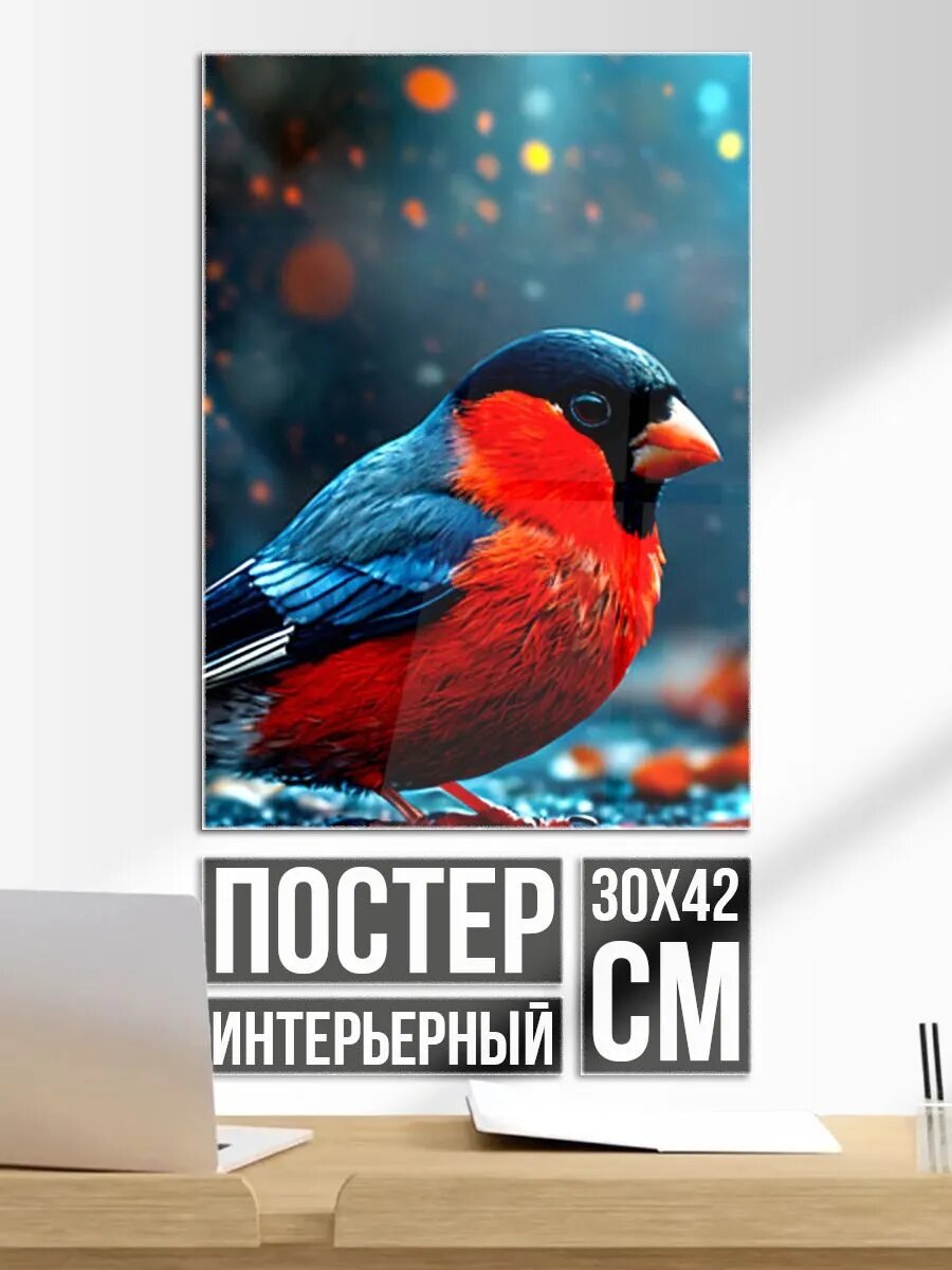 Постер на стену Обыкновенный снегирь