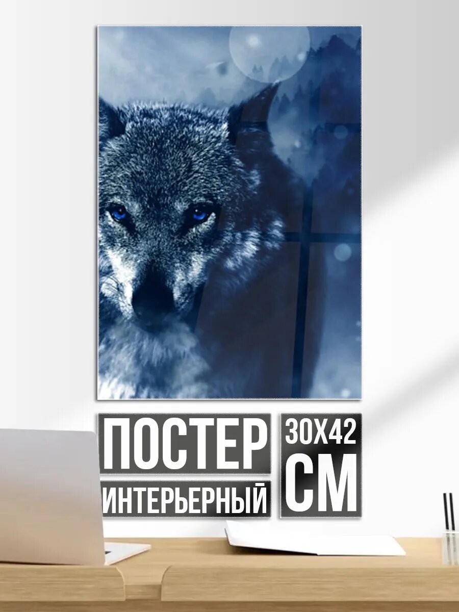 Постер на стену Красивый волк