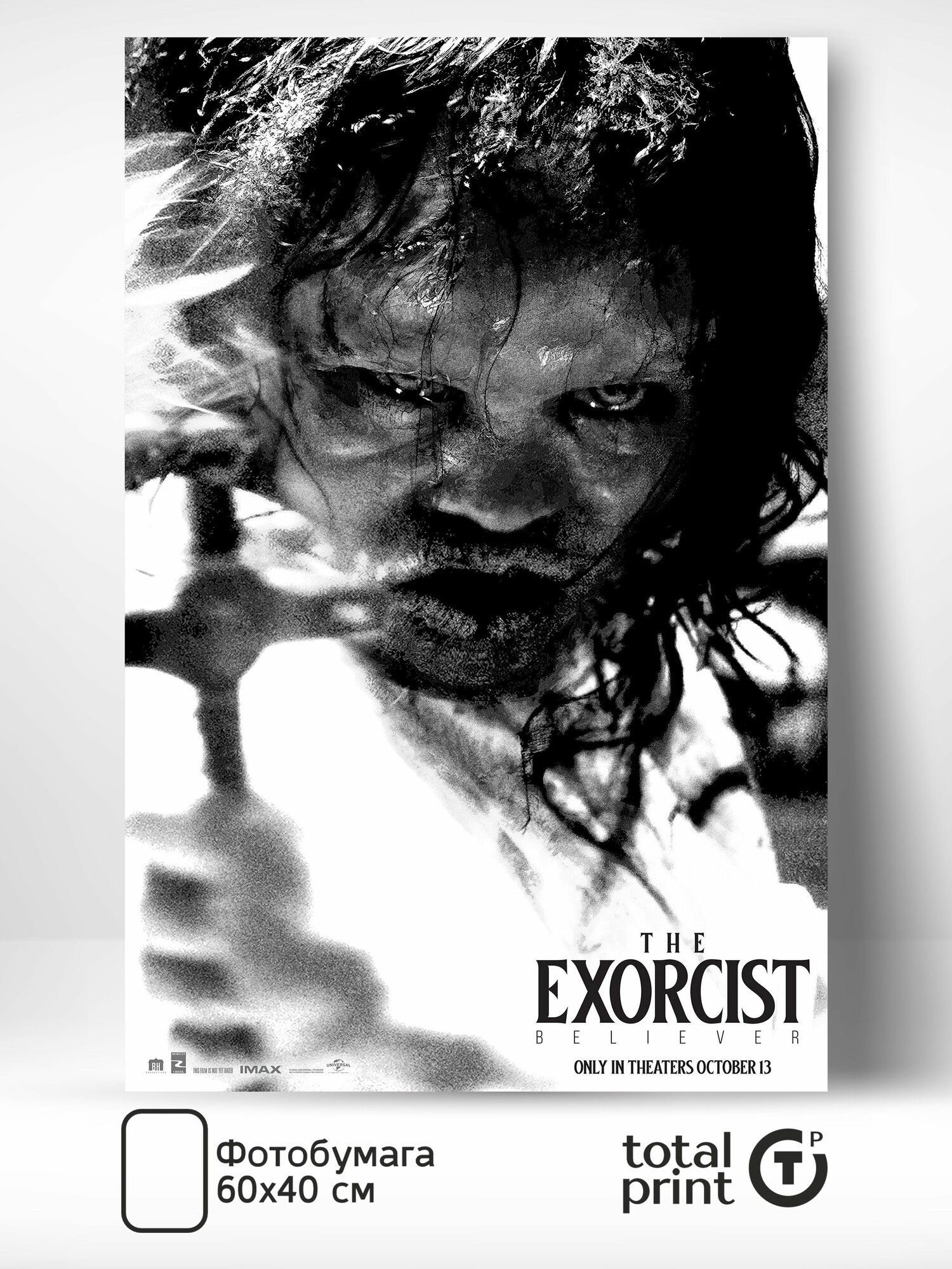 TotalPrint Постер для интерьера по фильму, 60х40см, Изгоняющий дьявола: Верующий