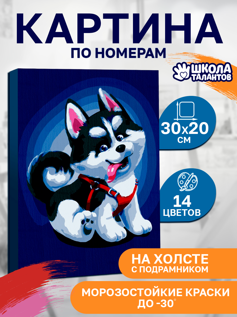 Картина по номерам Школа талантов «Щенок хаски», 30х20 см, на холсте с подрамником