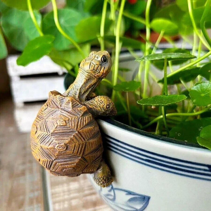 Украшение сада в виде маленькой статуэтки черепахи в саду в стиле бонсай