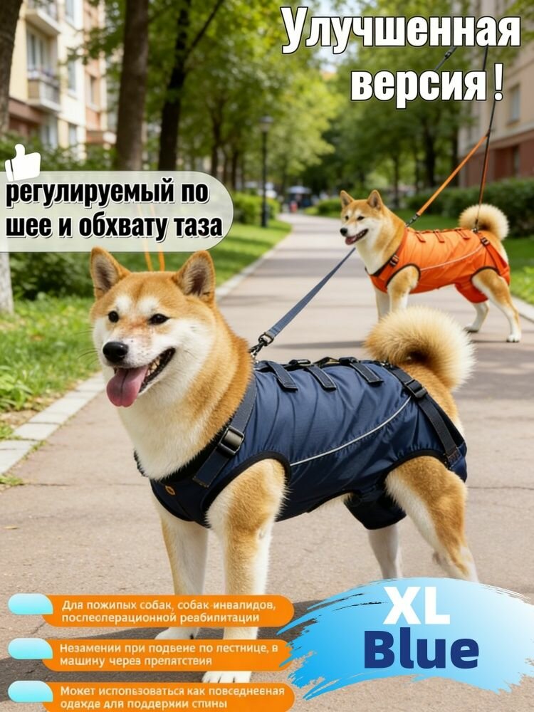 Полная поддержка для собак. Ходунки для собак, пожилых и травмированных.