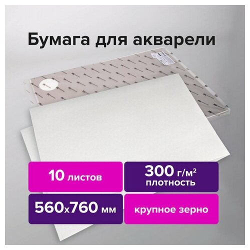 Бумага для акварели 300 г/м2 560×760 мм крупное зерно, 10 листов, BRAUBERG ART PREMIERE