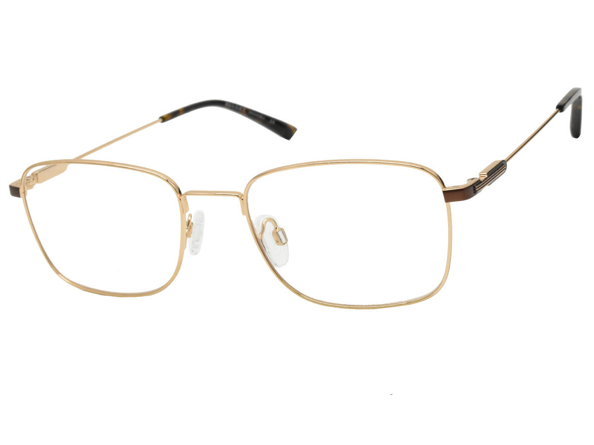 Оправа для очков BULGET BG1755M 04A пол Мужской форма оправы Прямоугольная цвет оправы Золотой