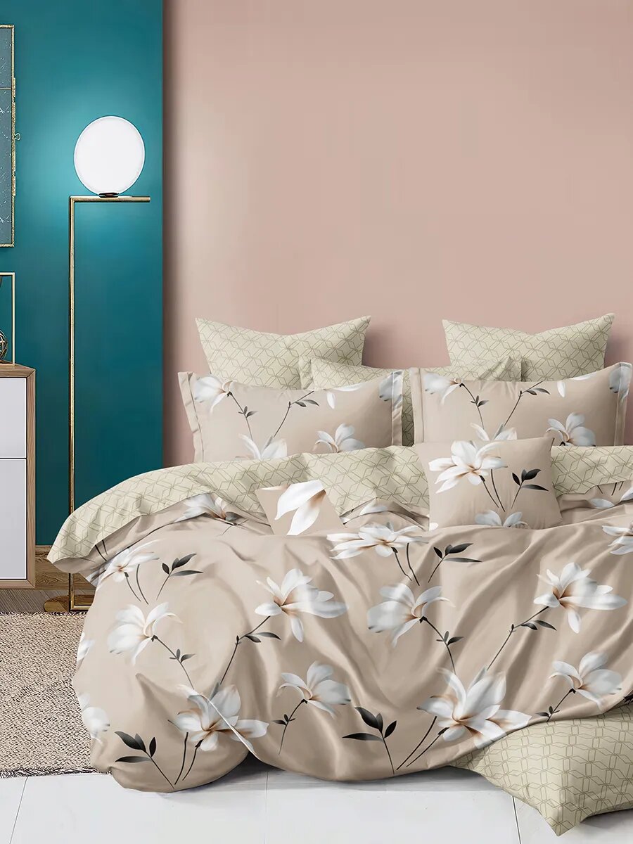 Постельное белье 2 спальное наволочки 70х70 Dream Fly