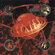Диск PIXIES, THE - Bossanova (1 CD)