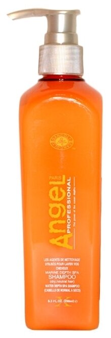 Angel Professional Шампунь для сухих и нейтральных волос профессиональный бессульфатный Marine Depth Spa, 250 мл