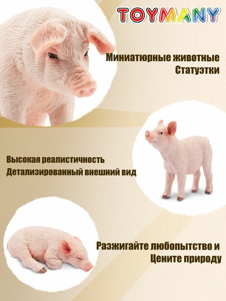 Toymany фигурка животное, Спящий поросенок Пьетрайн, коллекционный и реалистичный