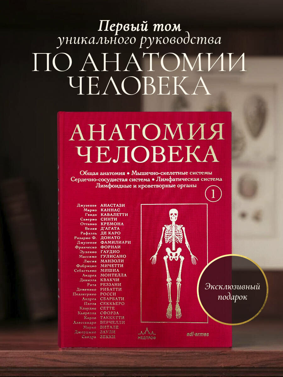 Анастази Д, Каннас М, Кавалетти Г. Анатомия человека. Эксклюзивное издание с 50-летней историей. Том 1