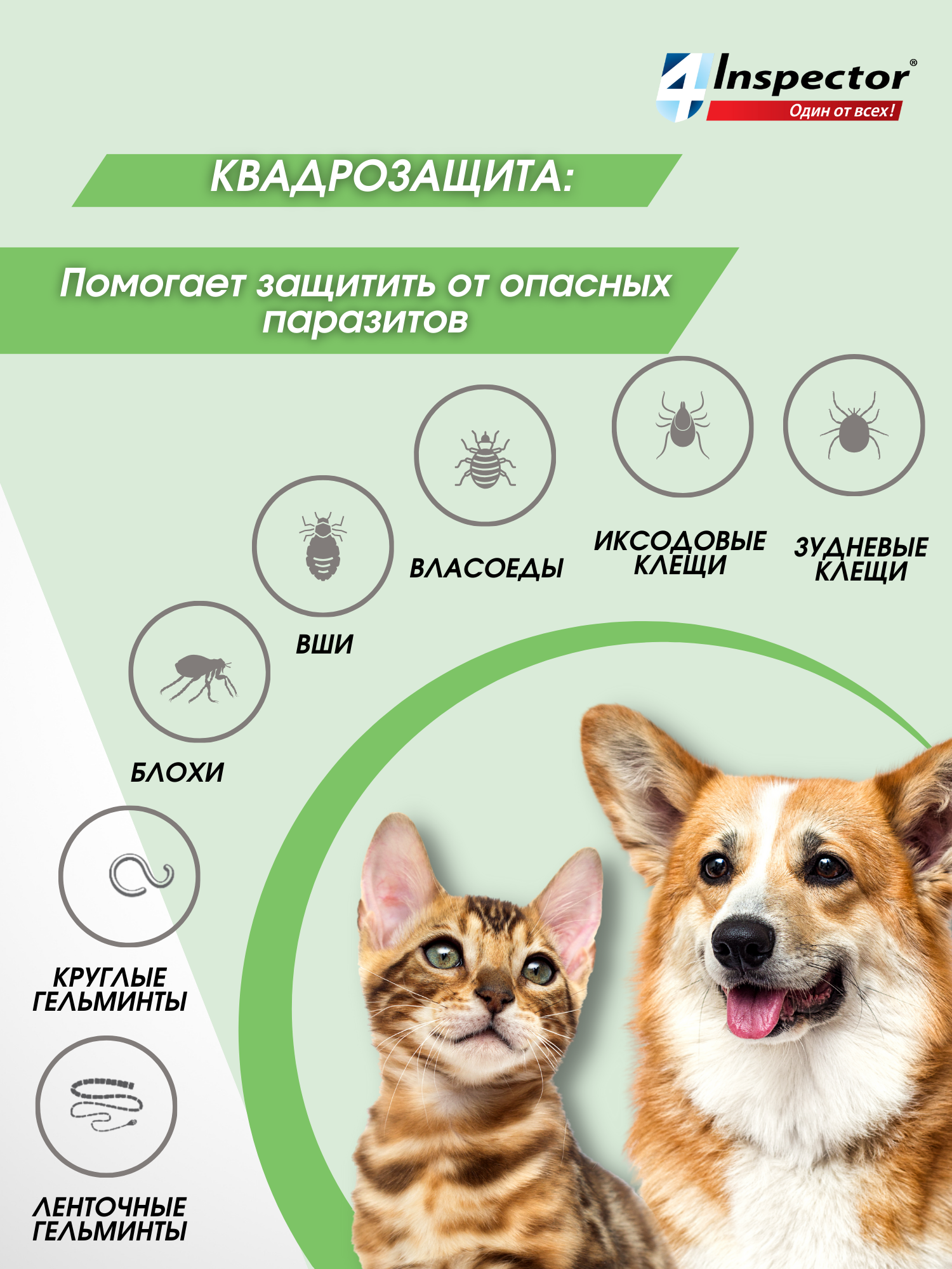 Inspector Квадро Табс для собак и кошек 2-8 кг, от блох и клещей, 4 таблетки — фото 1
